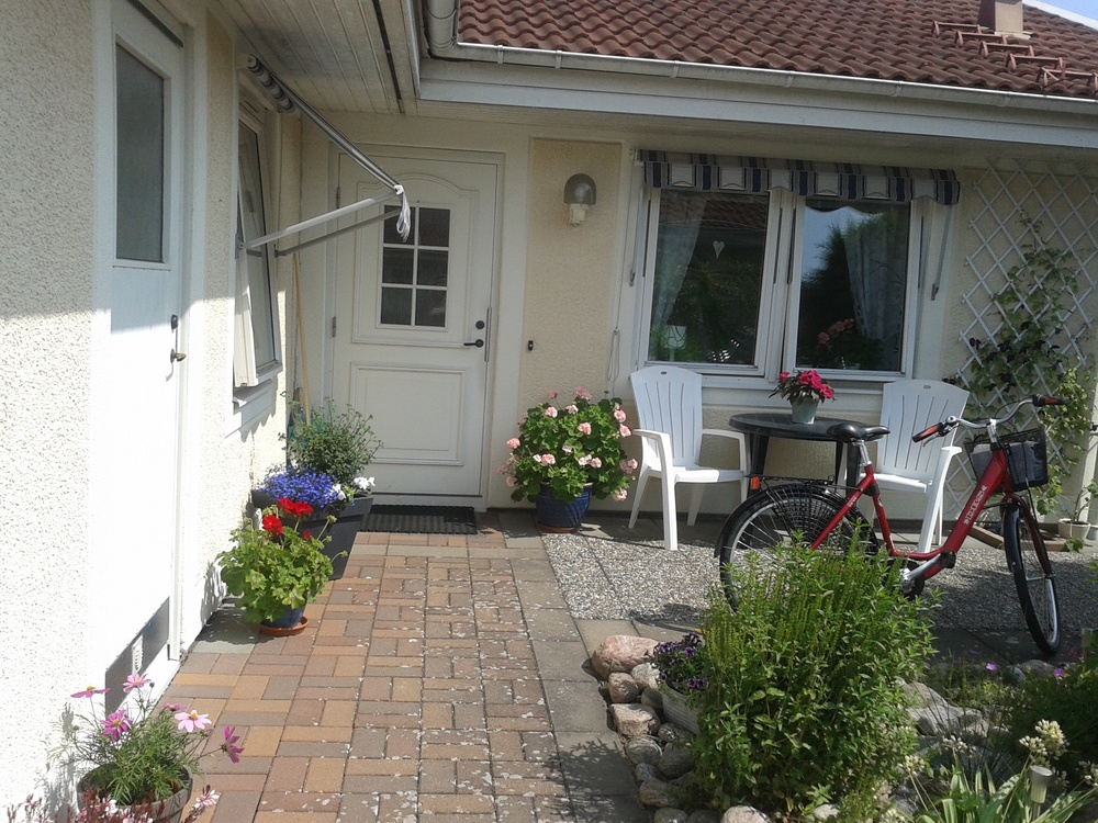 Skötselråd malva | Odla.nu