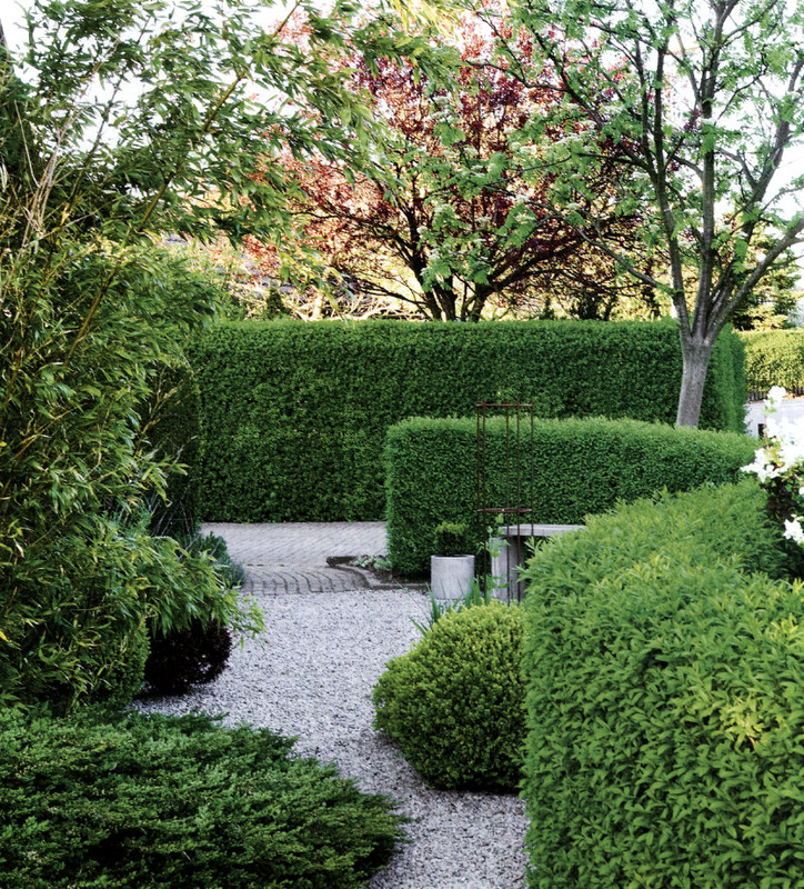 "staket-buske" | Odla.nu